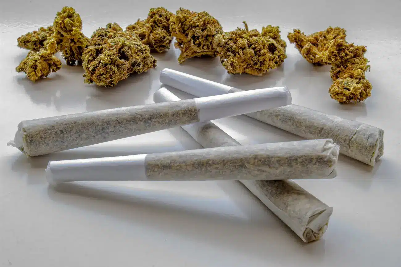 The Ultimate Guide to Prerolls - Green Lady Marijuana